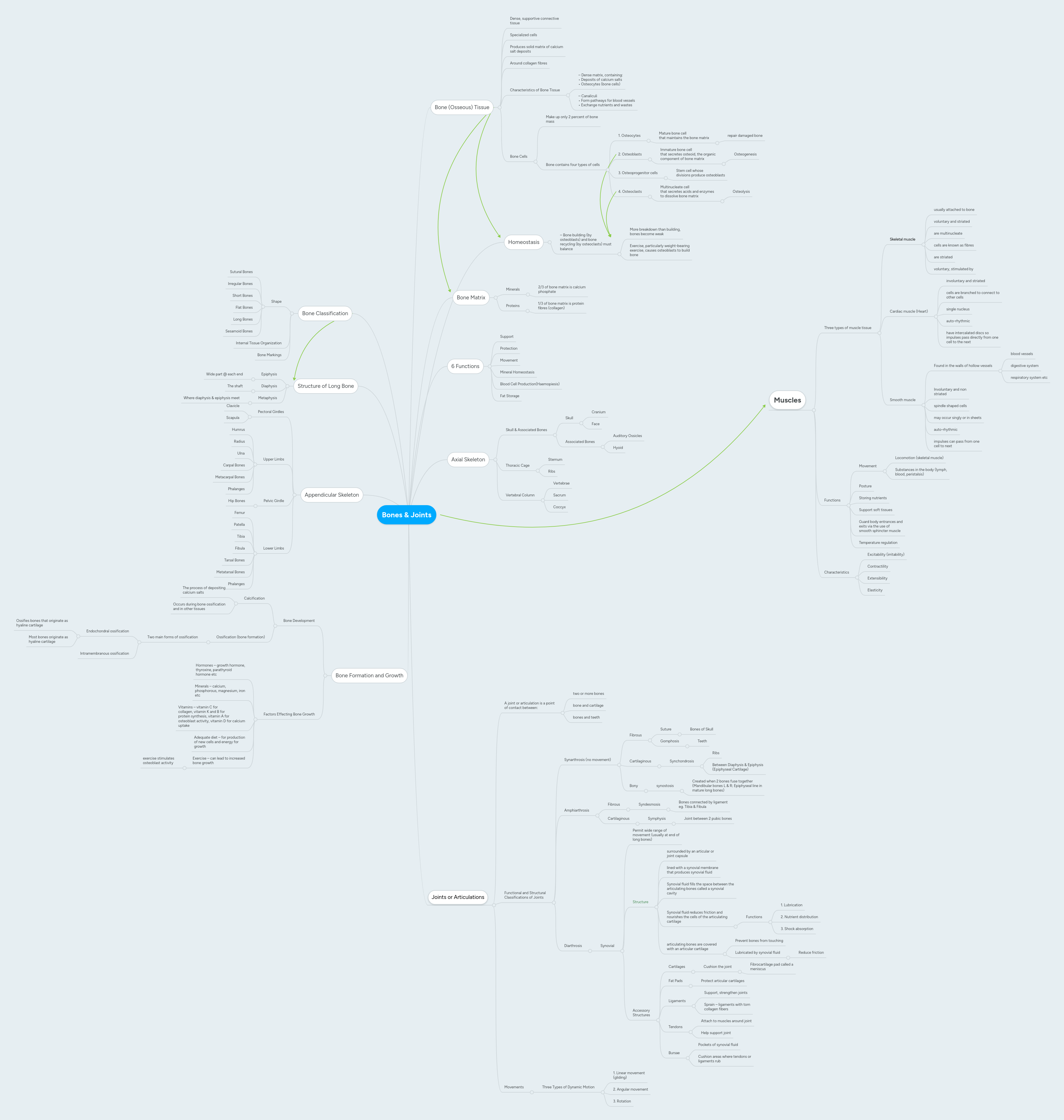 Bones & Joints | MindMeister Mind Map