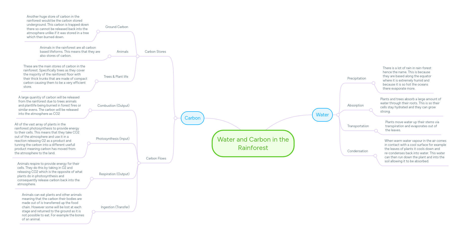Water and Carbon in the Rainforest | MindMeister Mind Map
