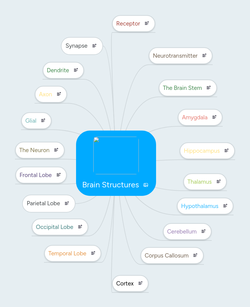 Brain Structures | MindMeister Mind Map