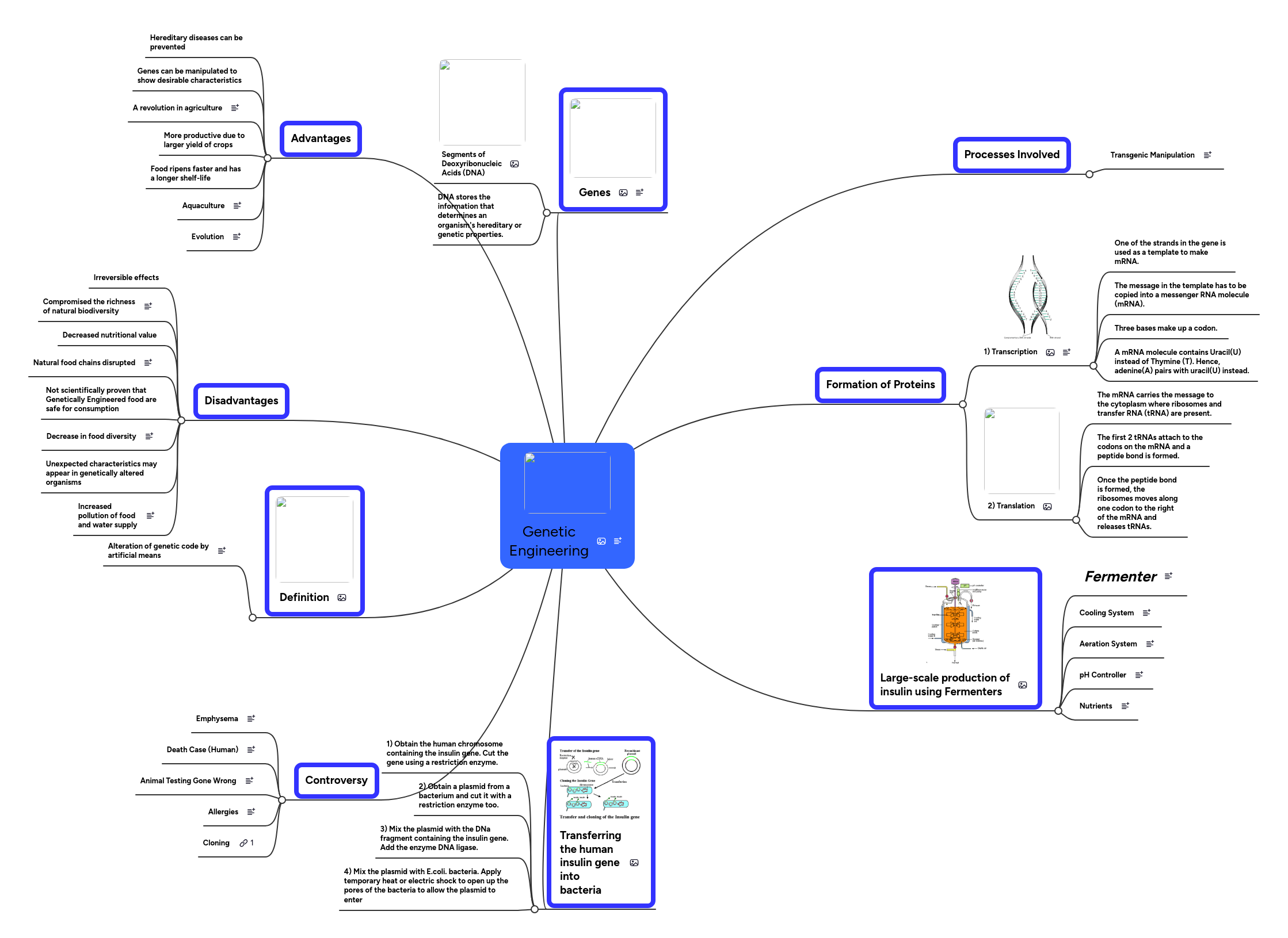 Genetic Engineering | MindMeister Mind map