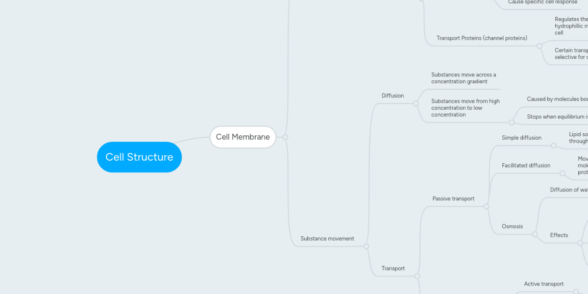 Cell Structure | MindMeister Mind Map