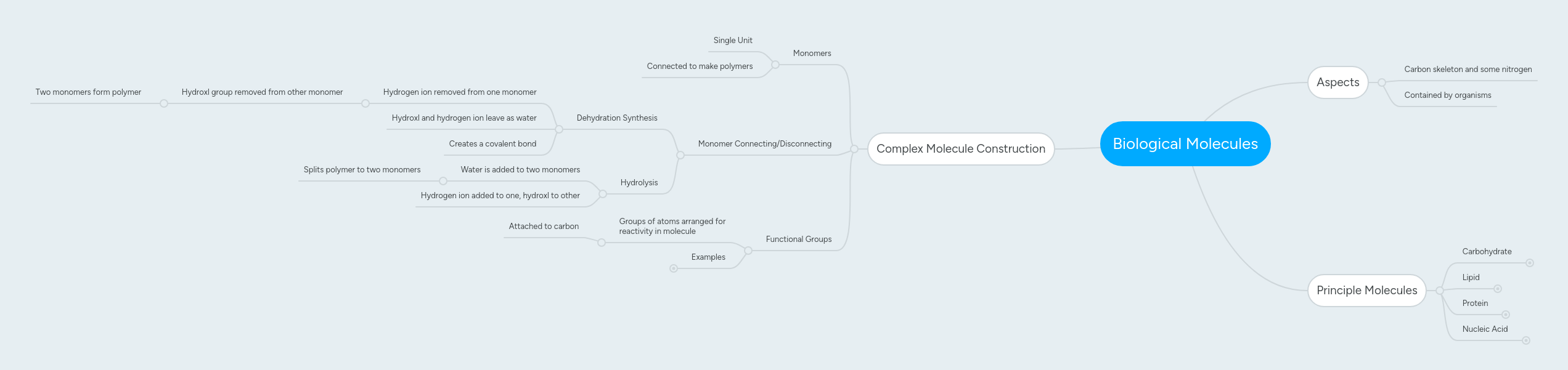 Biological Molecules | MindMeister Mind Map