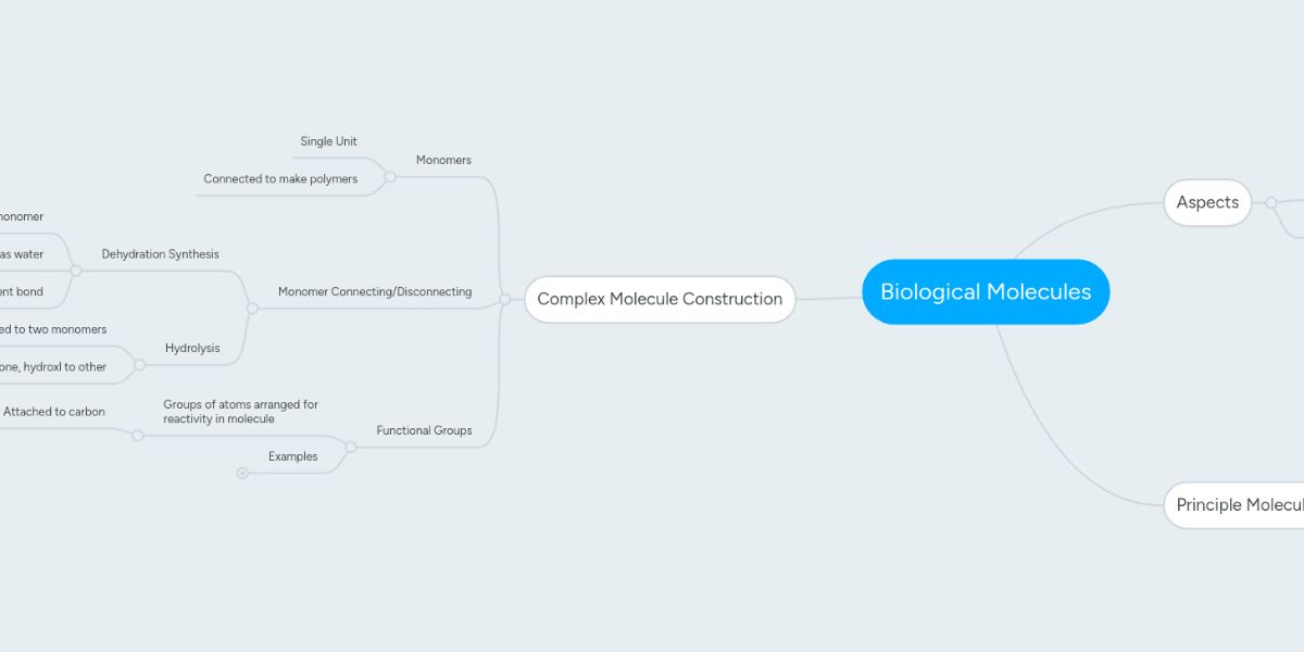 Biological Molecules | MindMeister Mind Map