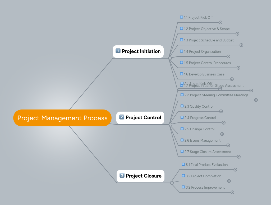 Project Management Process | MindMeister Mind map