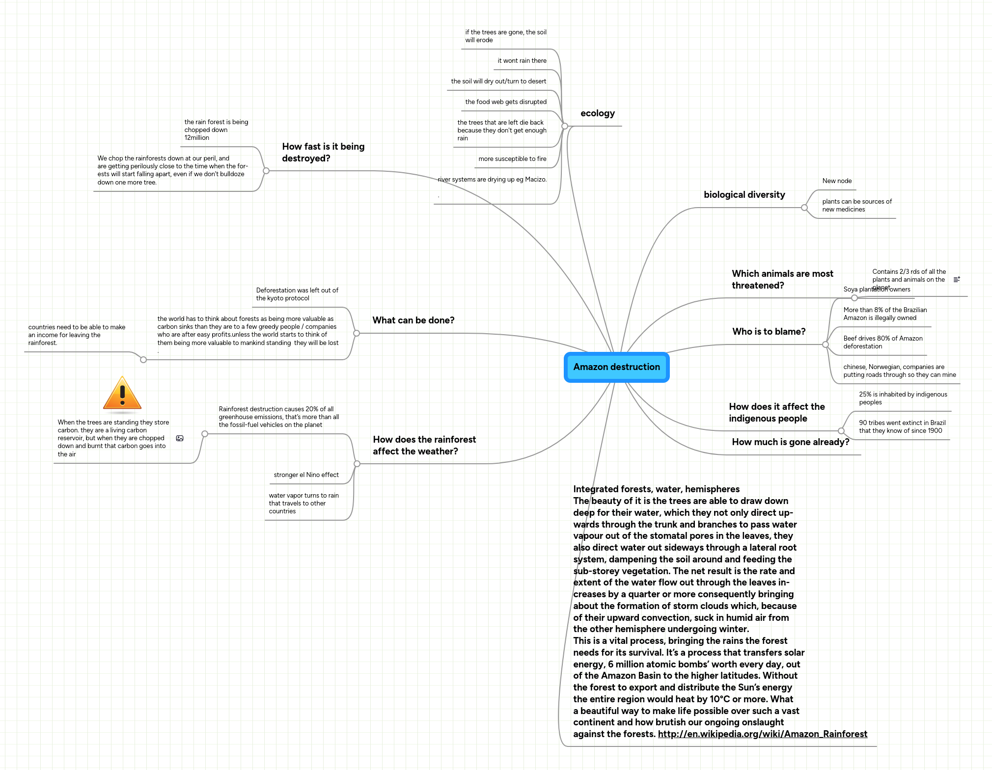 Amazon destruction | MindMeister Mind Map