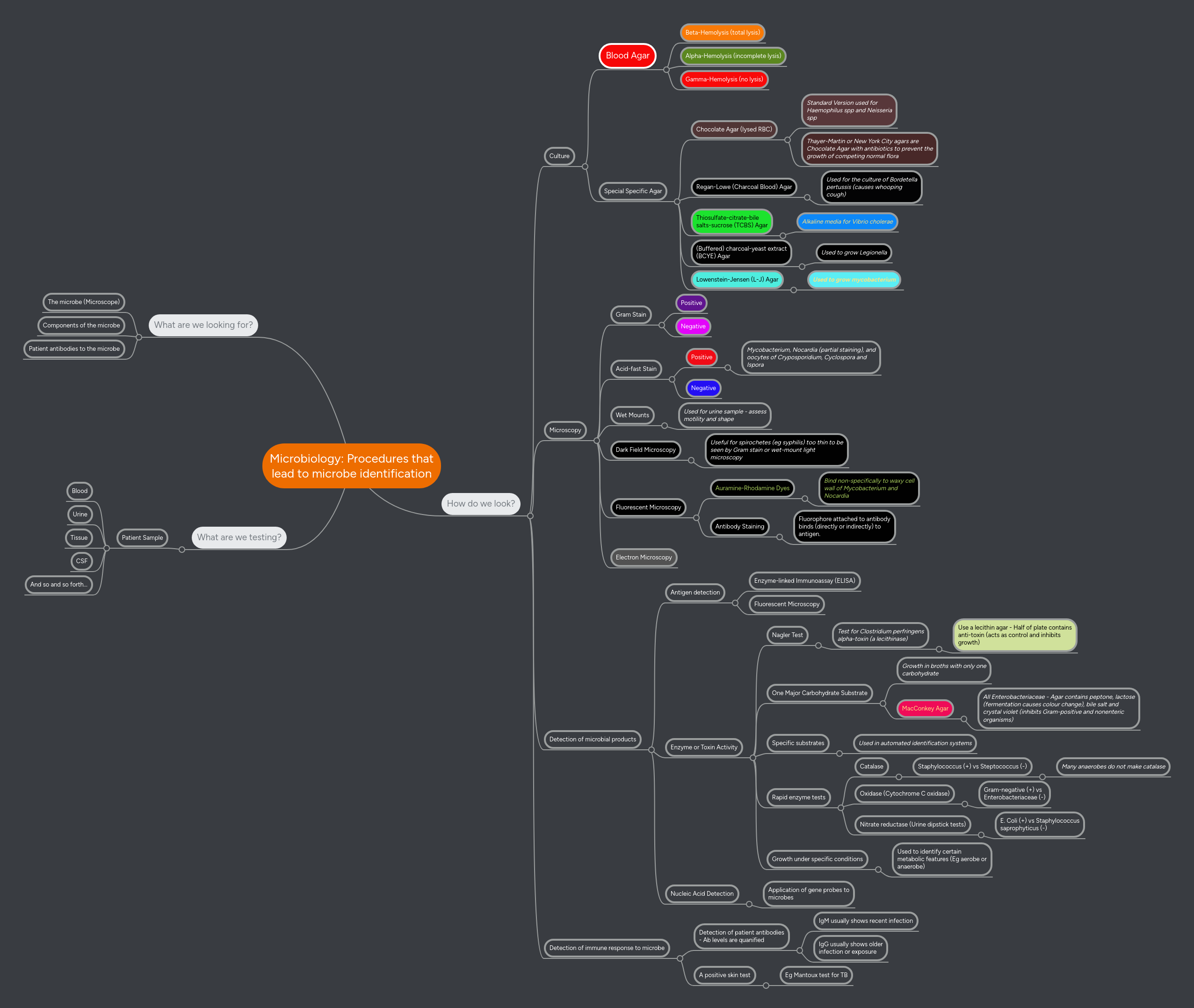 Microbiology: Procedures that lead to microbe ide... | MindMeister Mind Map