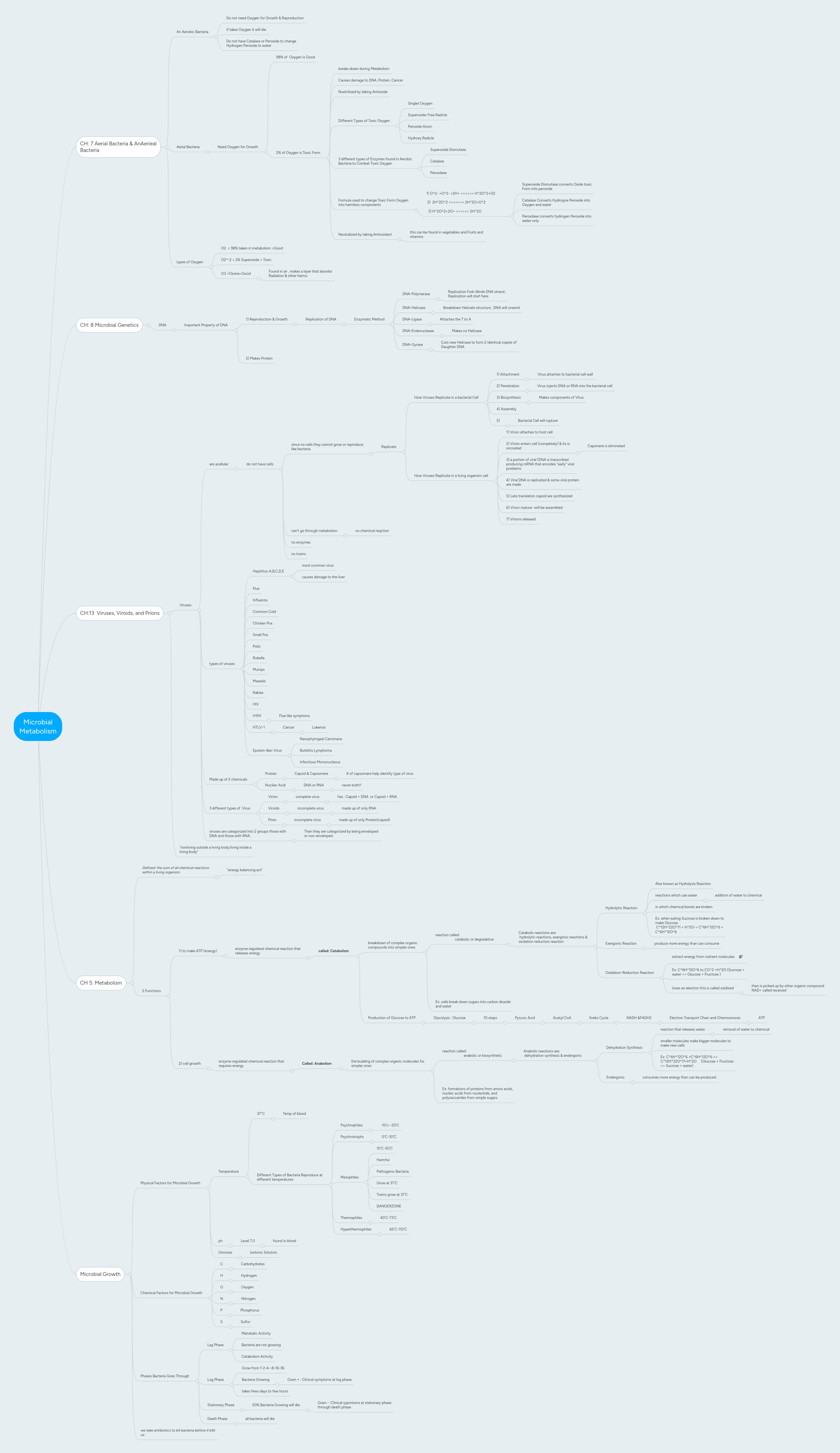 Microbial Metabolism | MindMeister Mind map