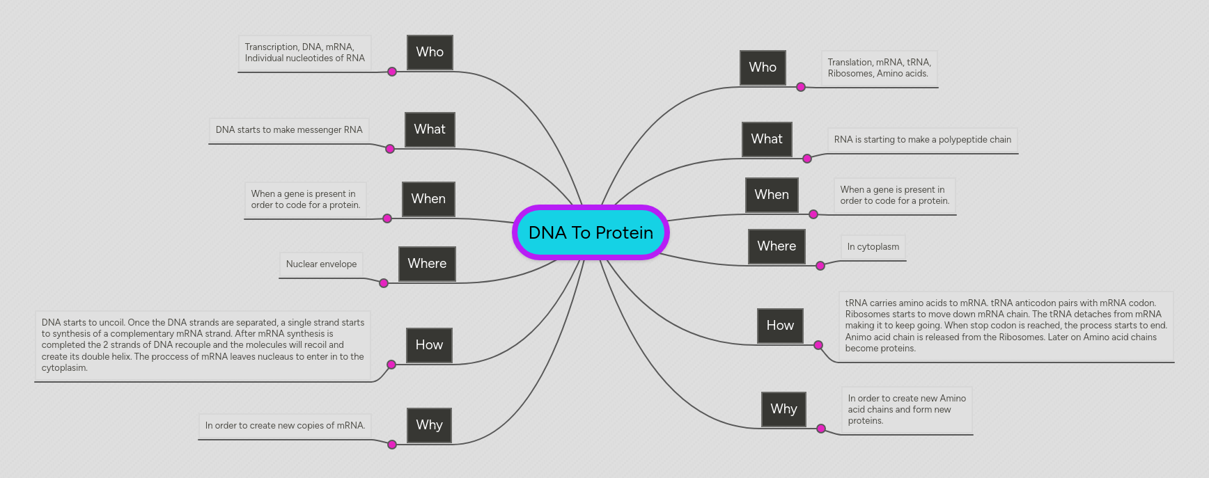 DNA To Protein | MindMeister Mind map