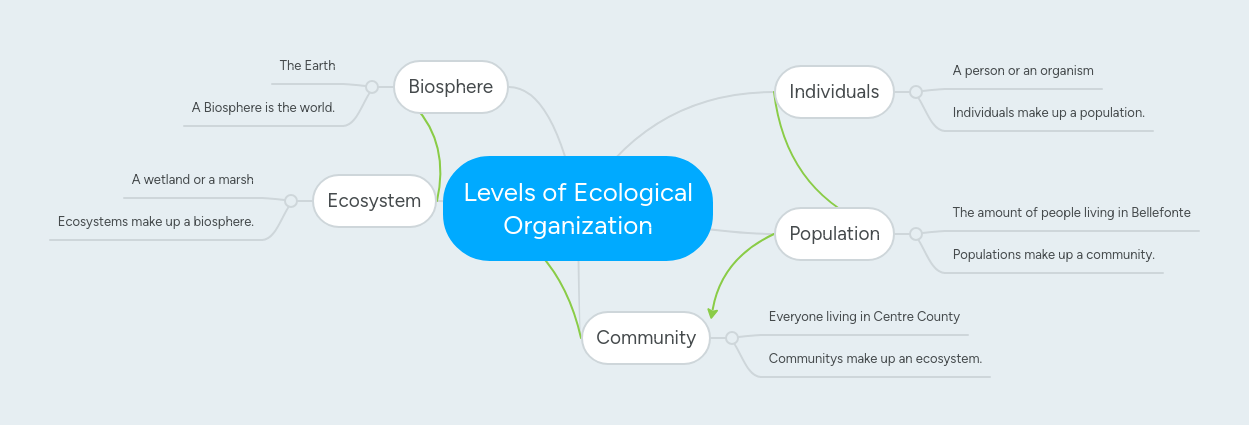 Levels of Ecological Organization | MindMeister Mind map