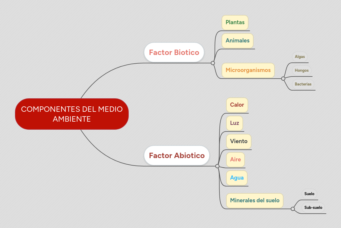 COMPONENTES DEL MEDIO AMBIENTE | MindMeister Mapa mental