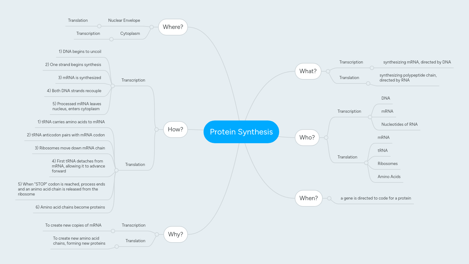 Protein Synthesis | MindMeister Mind map