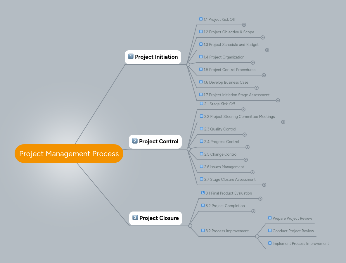 Project Management Process | MindMeister Mind Map