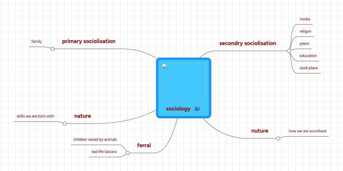 sociology | MindMeister Mind map