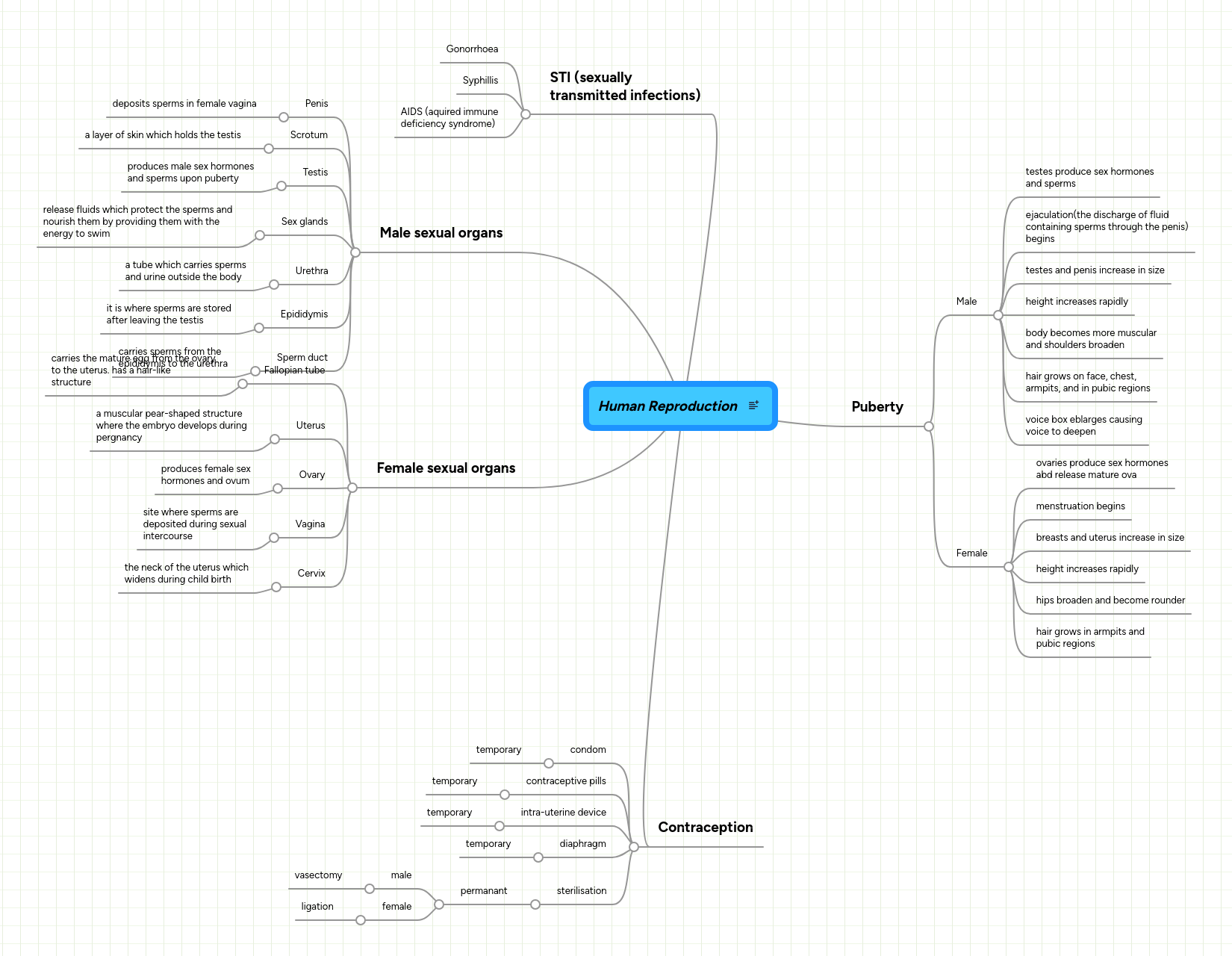 Human Reproduction | MindMeister Mind map