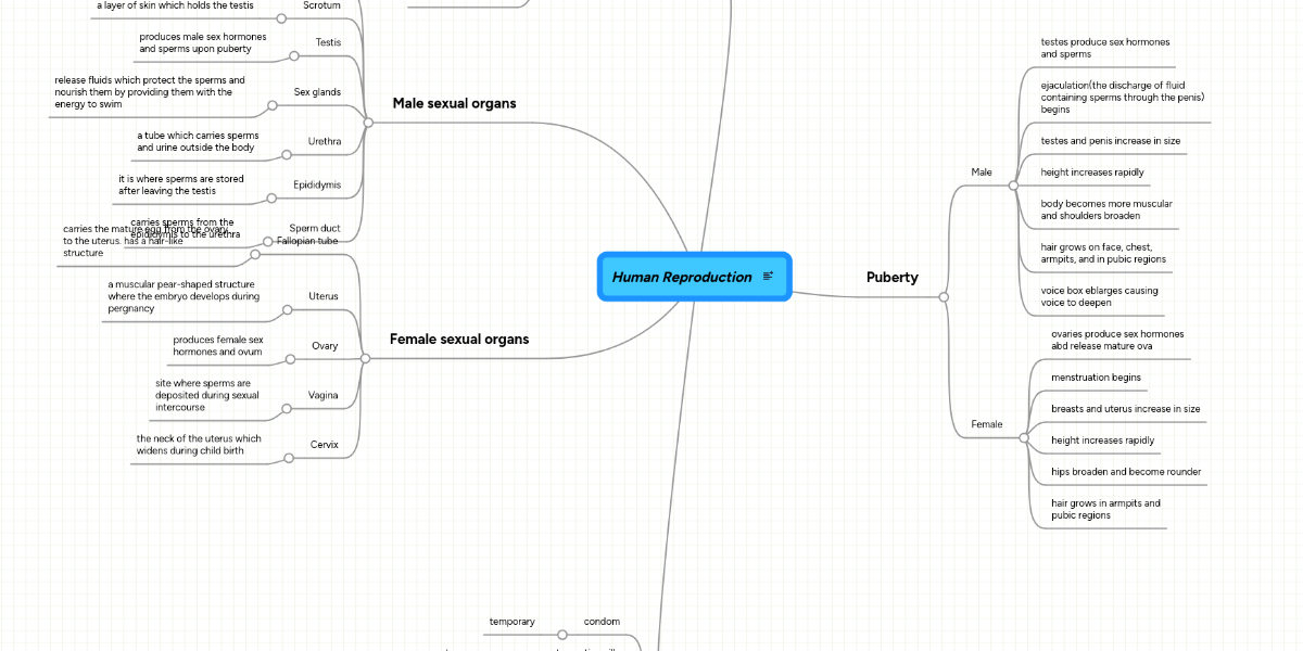 Human Reproduction | MindMeister Mind Map