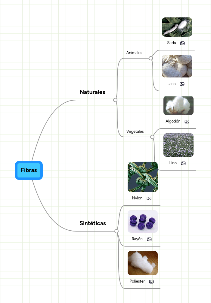 Fibras | MindMeister Mapa mental