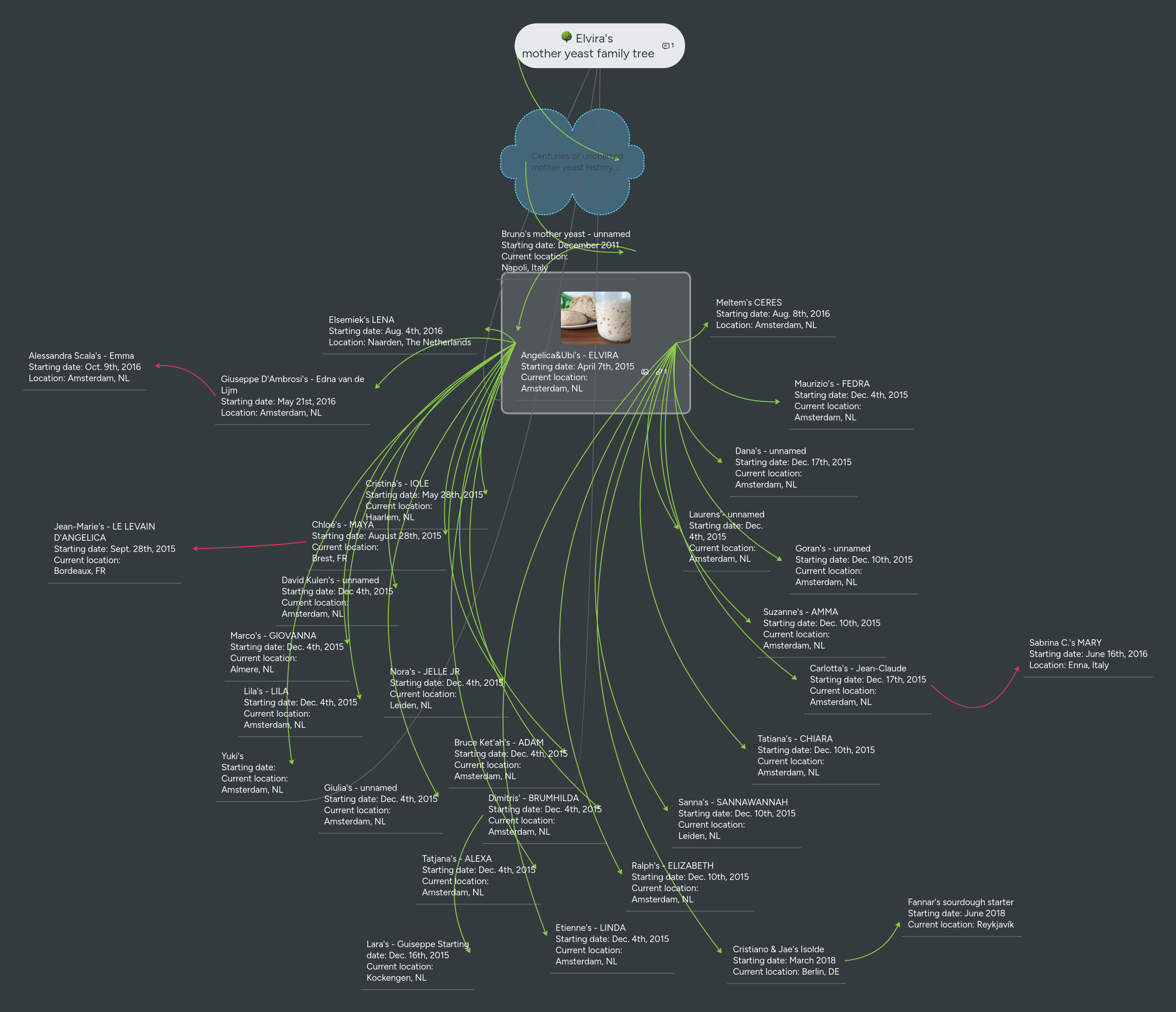 Elvira's mother yeast family tree | MindMeister Mind map