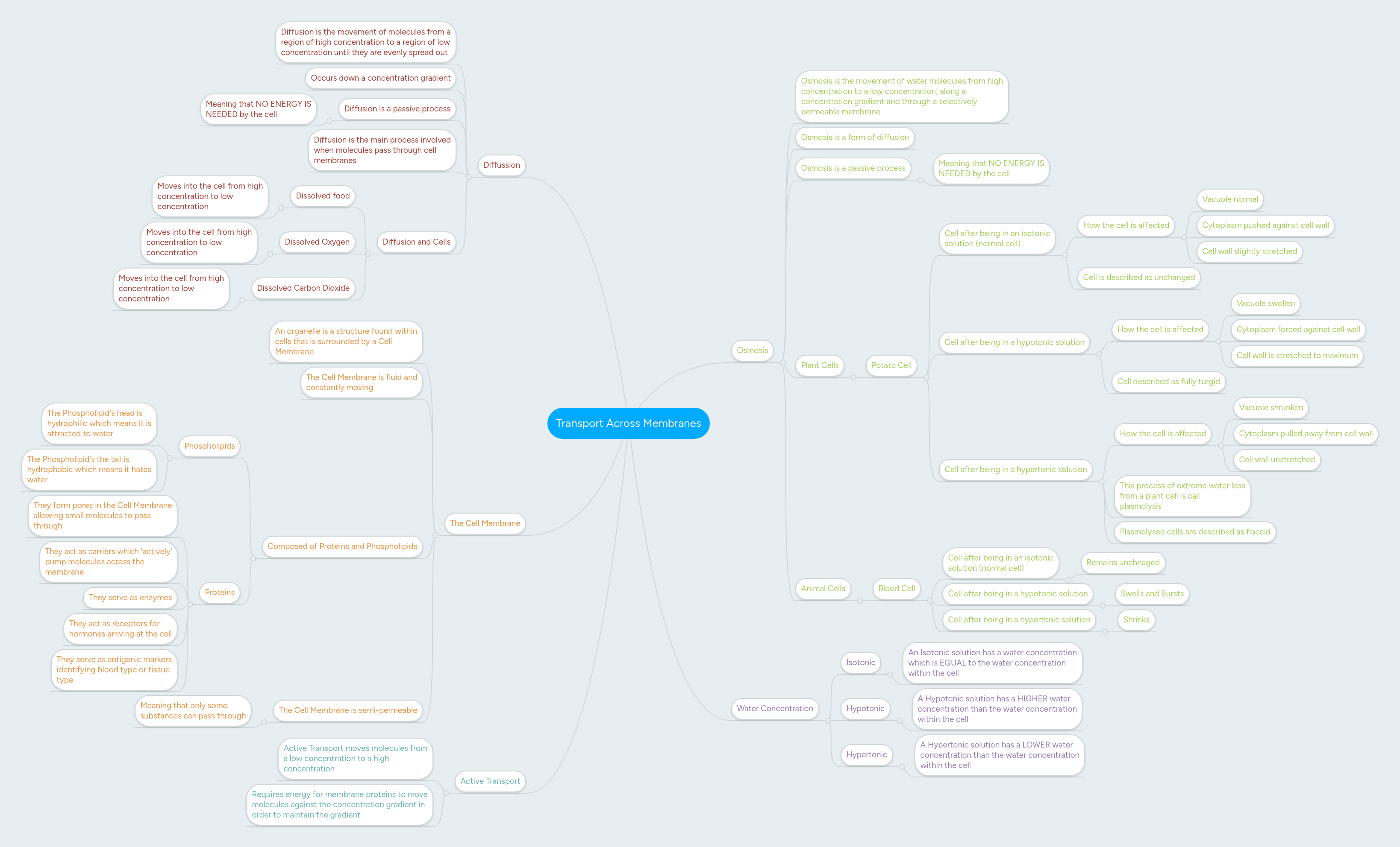 Transport Across Membranes | MindMeister Mind Map