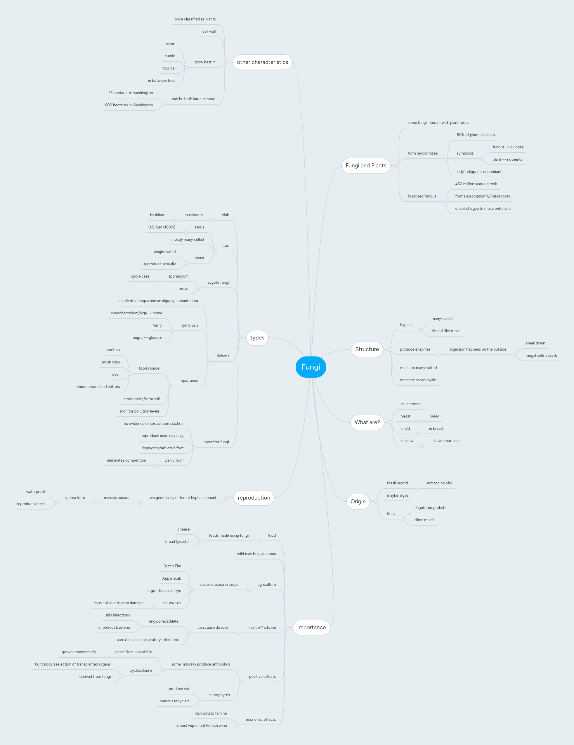 Fungi | MindMeister Mind Map