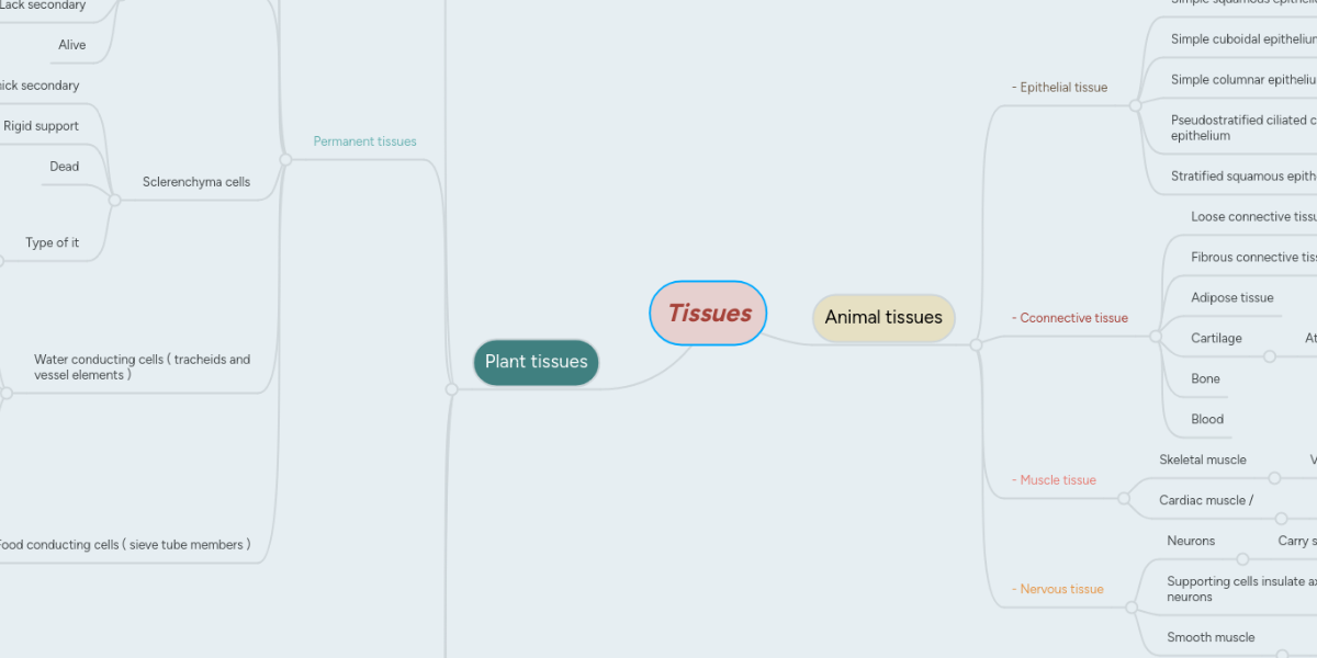 Tissues | MindMeister Mind Map
