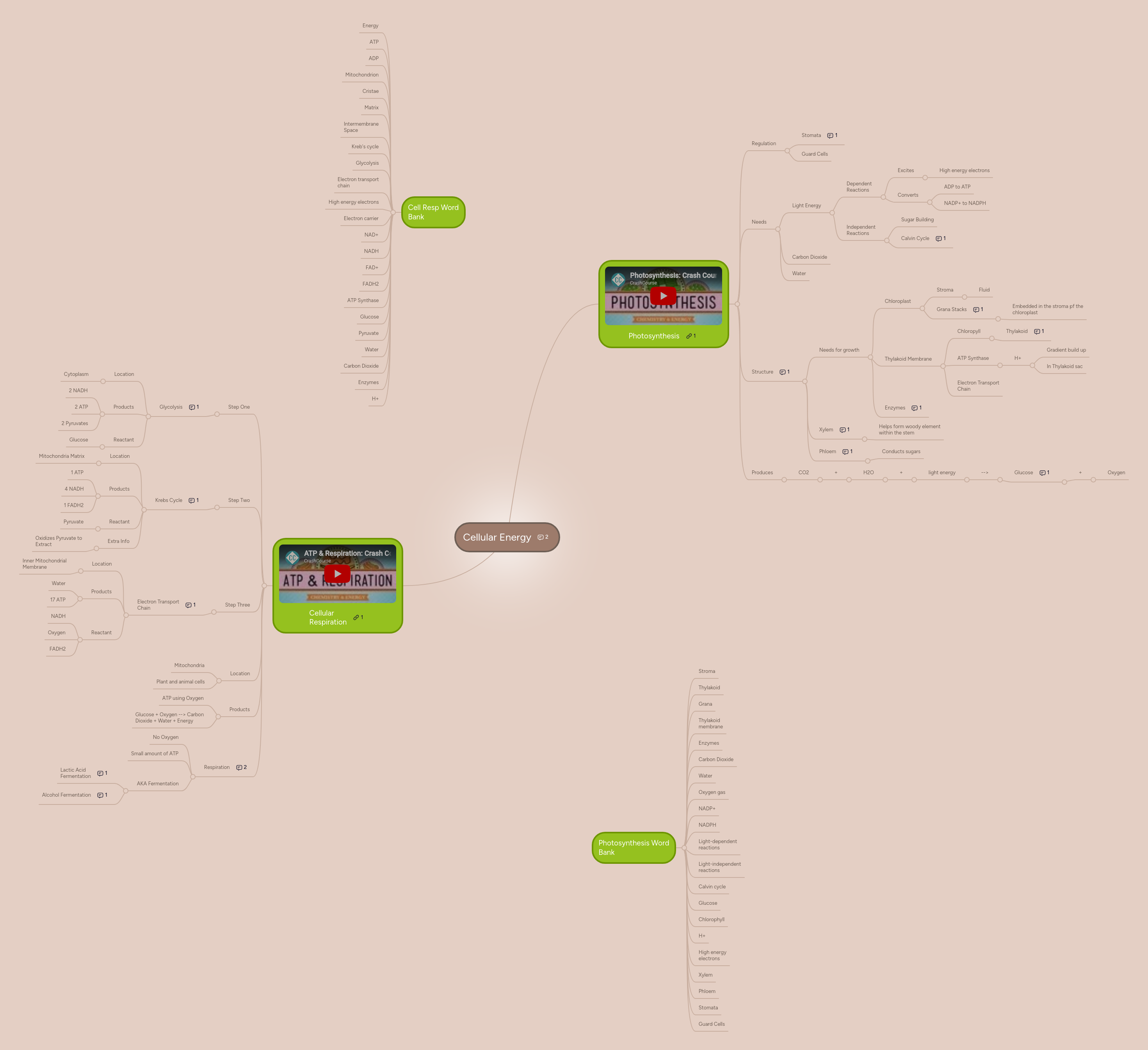 Cellular Energy | MindMeister Mind Map