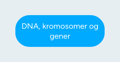 DNA, kromosomer og gener | MindMeister Mind map