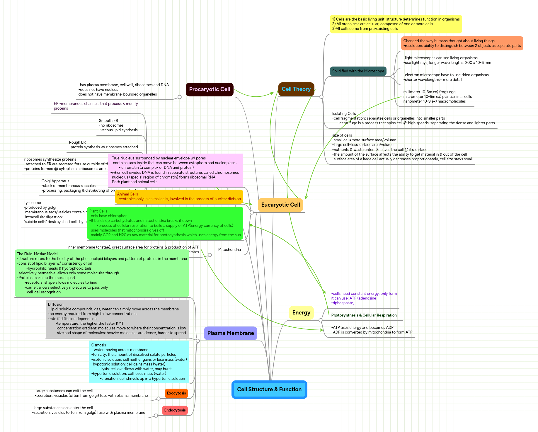Cell Structure & Function | MindMeister Mind map