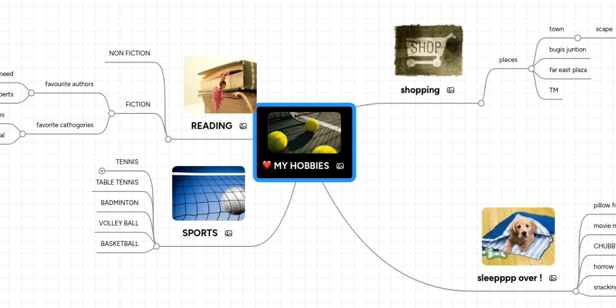 MY HOBBIES | MindMeister Mind Map