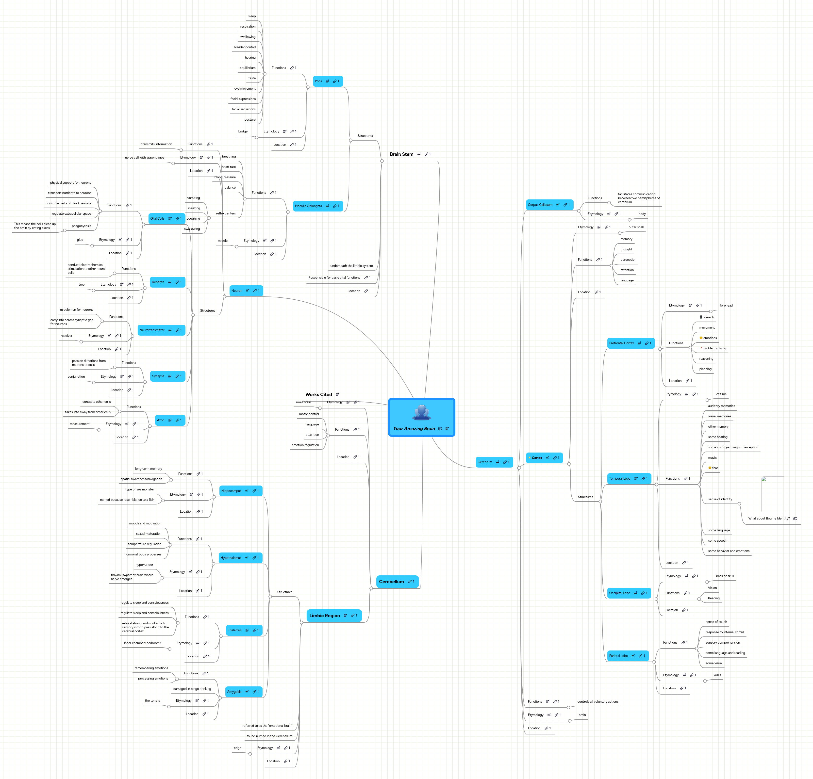Your Amazing Brain | MindMeister Mind Map