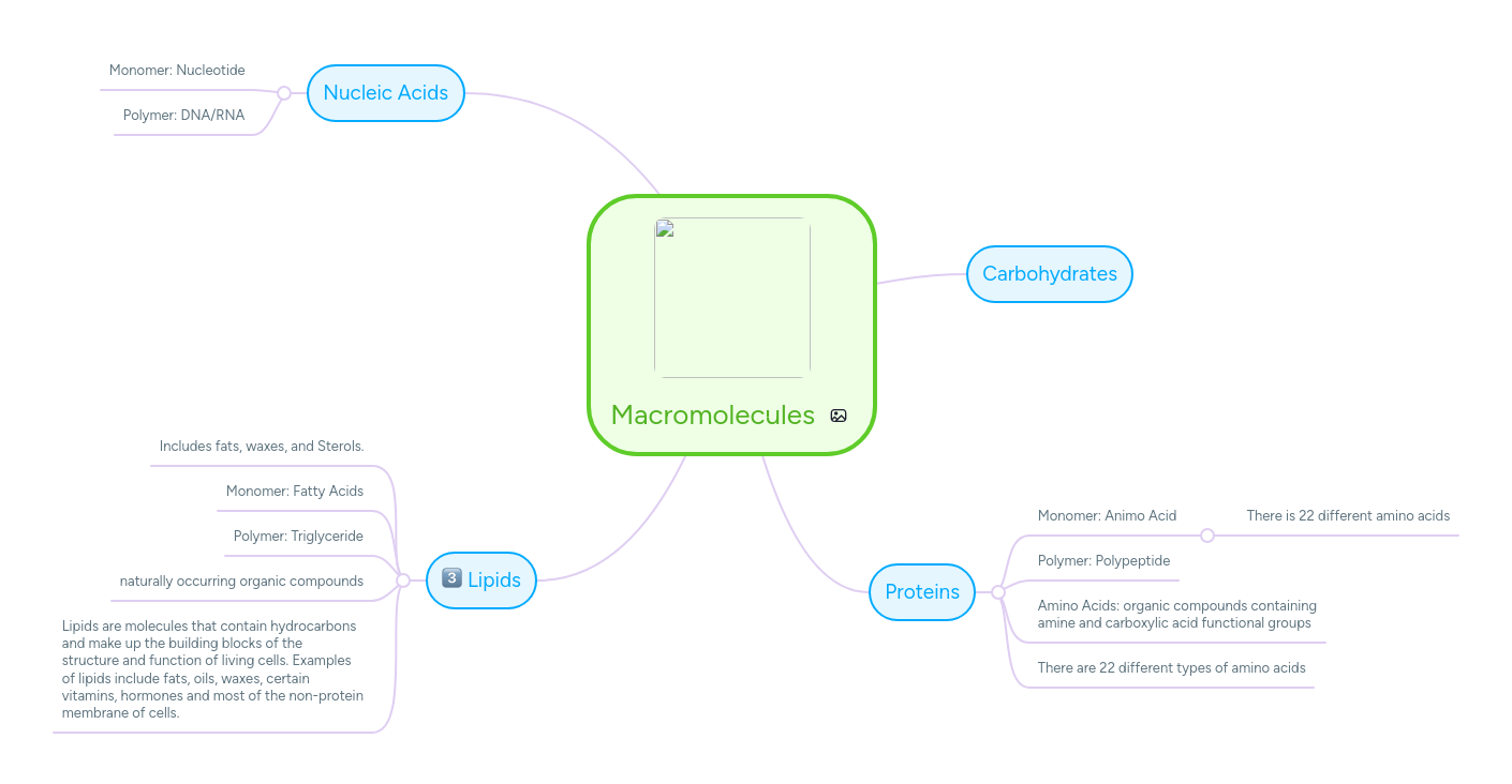 Macromolecules | MindMeister Mind Map