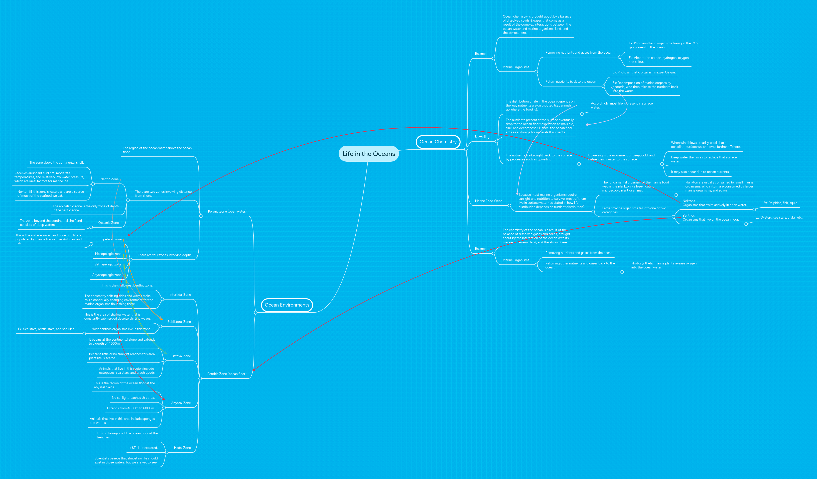 Life in the Oceans | MindMeister Mind map