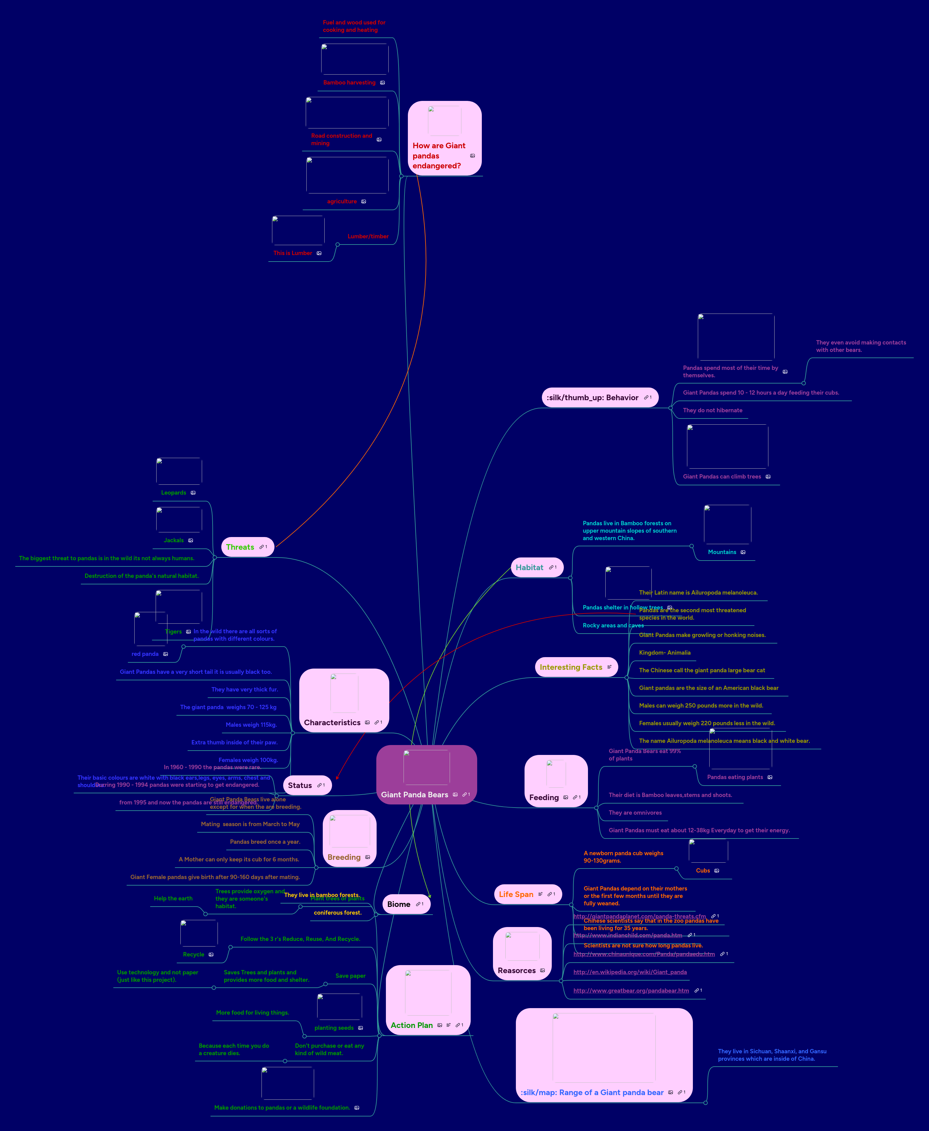 Giant Panda Bears | MindMeister Mind map