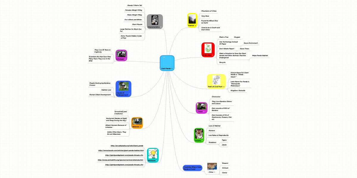 Giant Panda | MindMeister Mind Map
