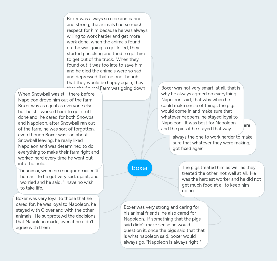 Boxer | MindMeister Mind map