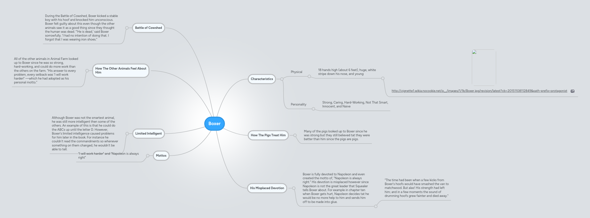 Boxer | MindMeister Mind Map