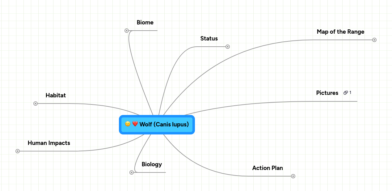 Wolf (Canis lupus) | MindMeister Mind map