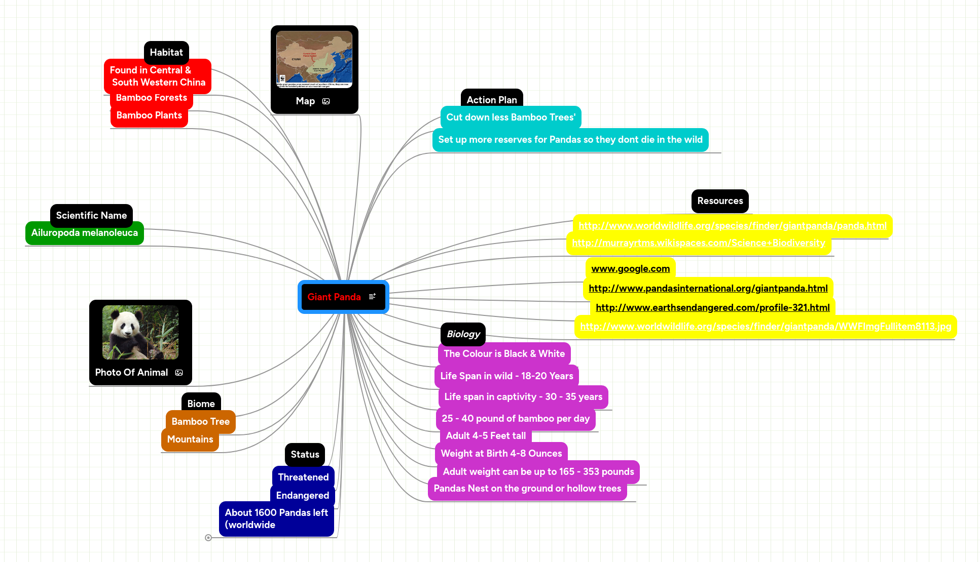 Giant Panda | MindMeister Mind map