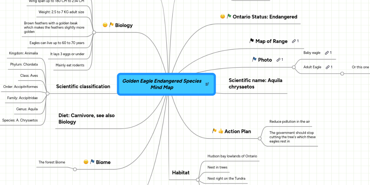 Golden Eagle Endangered Species Mind Map | MindMeister Mind Map