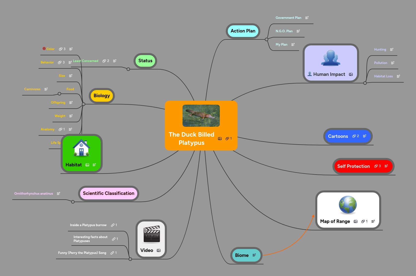The Duck Billed Platypus | MindMeister Mind map