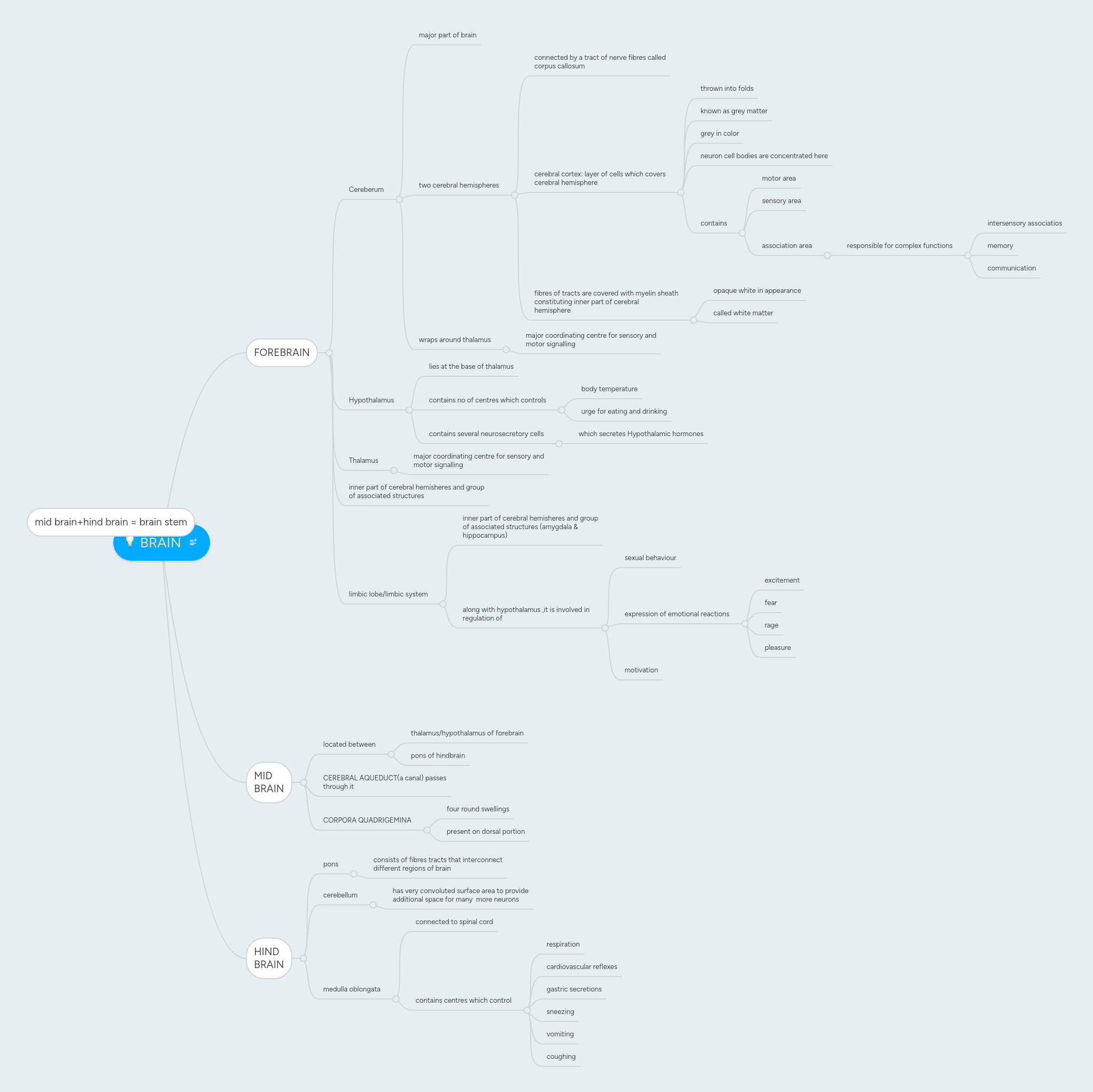 BRAIN | MindMeister Mind Map