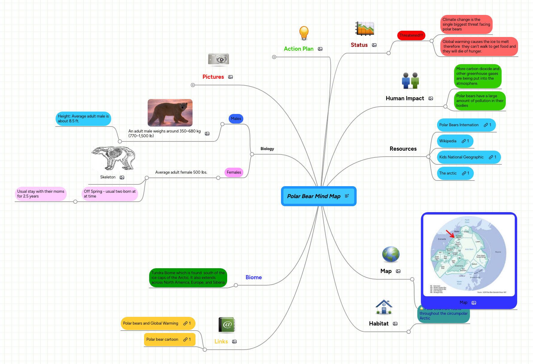 Polar Bear Mind Map | MindMeister Mind map
