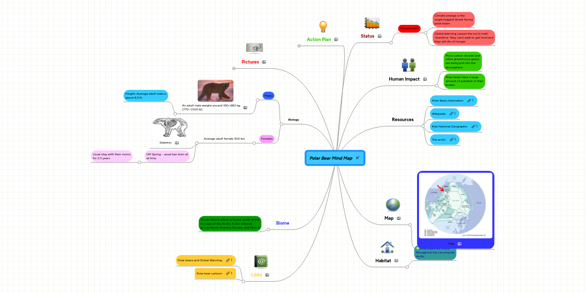 Polar Bear Mind Map | MindMeister Mind Map