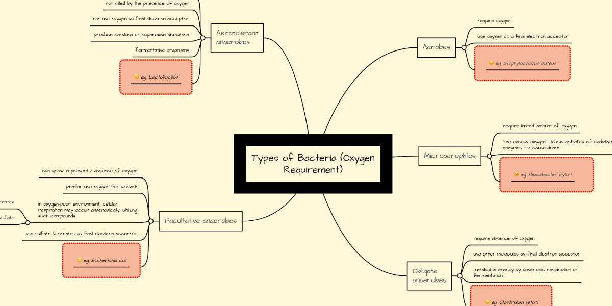 Types of Bacteria (Oxygen Requirement) | MindMeister Mind Map