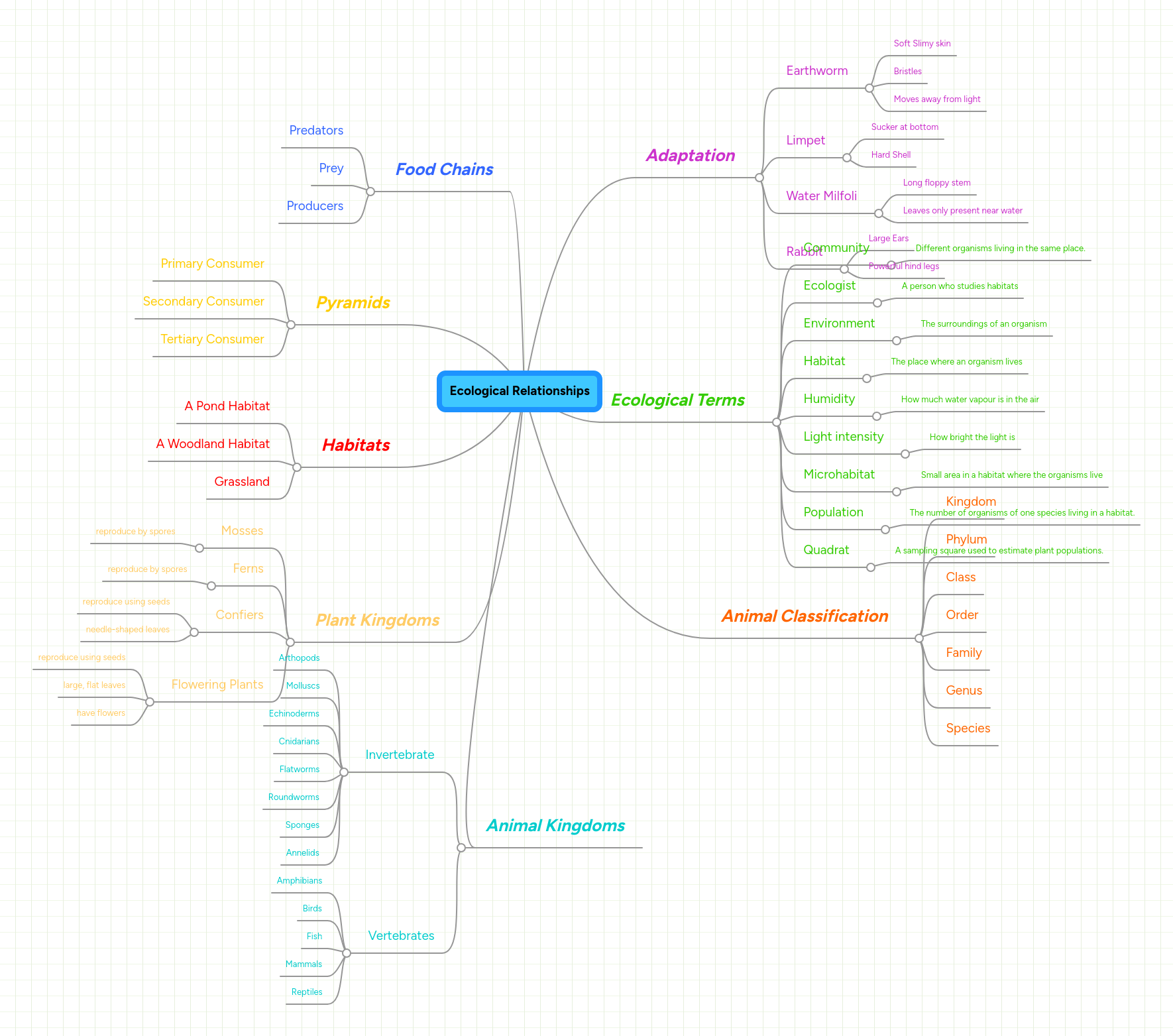 Ecological Relationships | MindMeister Mind Map
