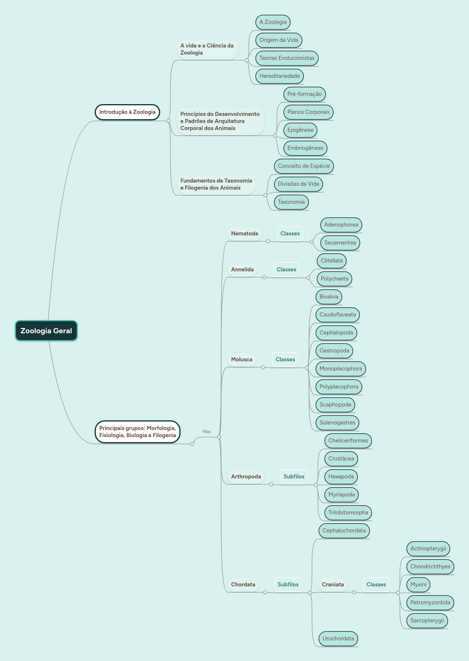 Zoologia Geral | MindMeister Mapa mental