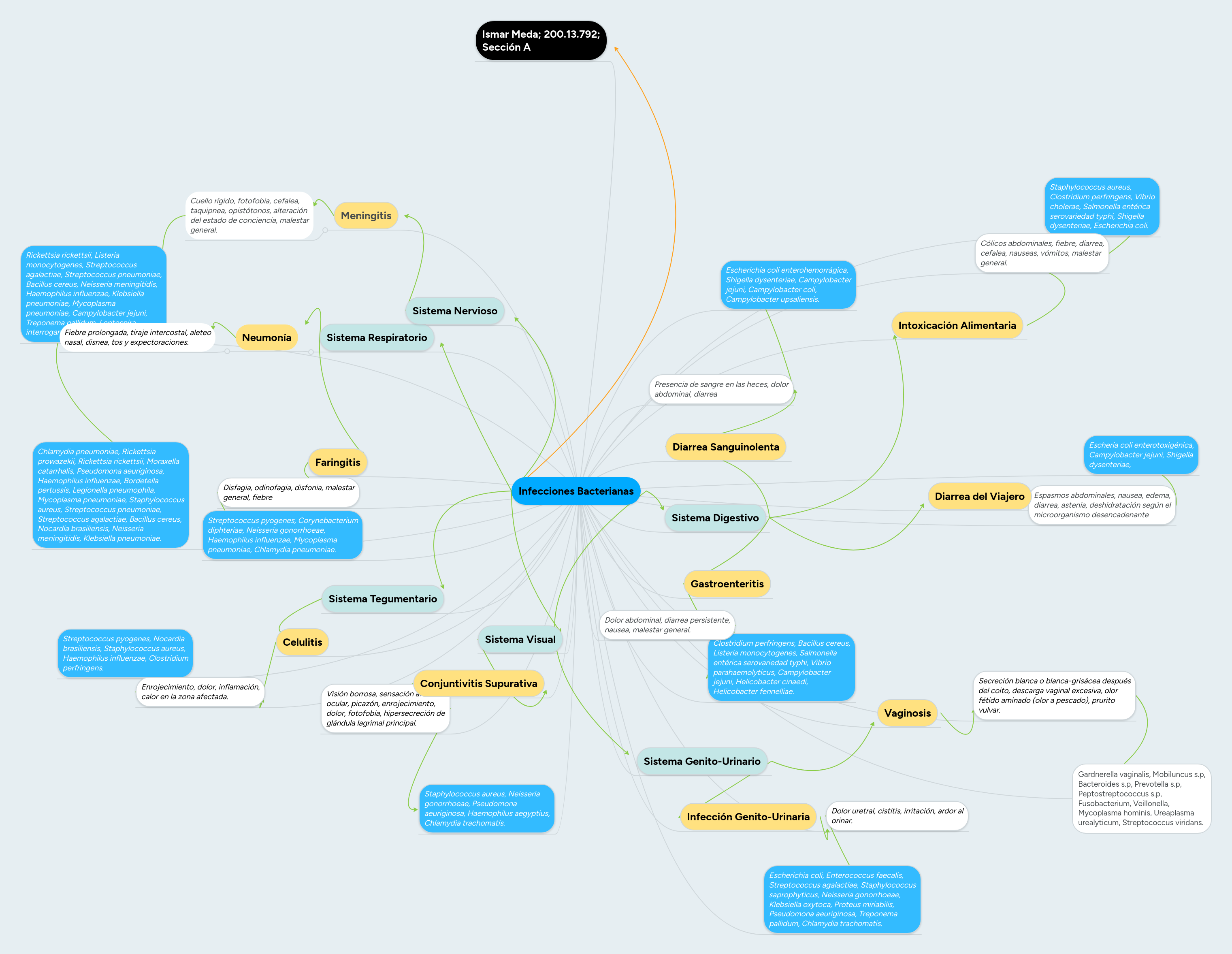 Mind Mapping - Crear Mind Maps en línea | MindMeister