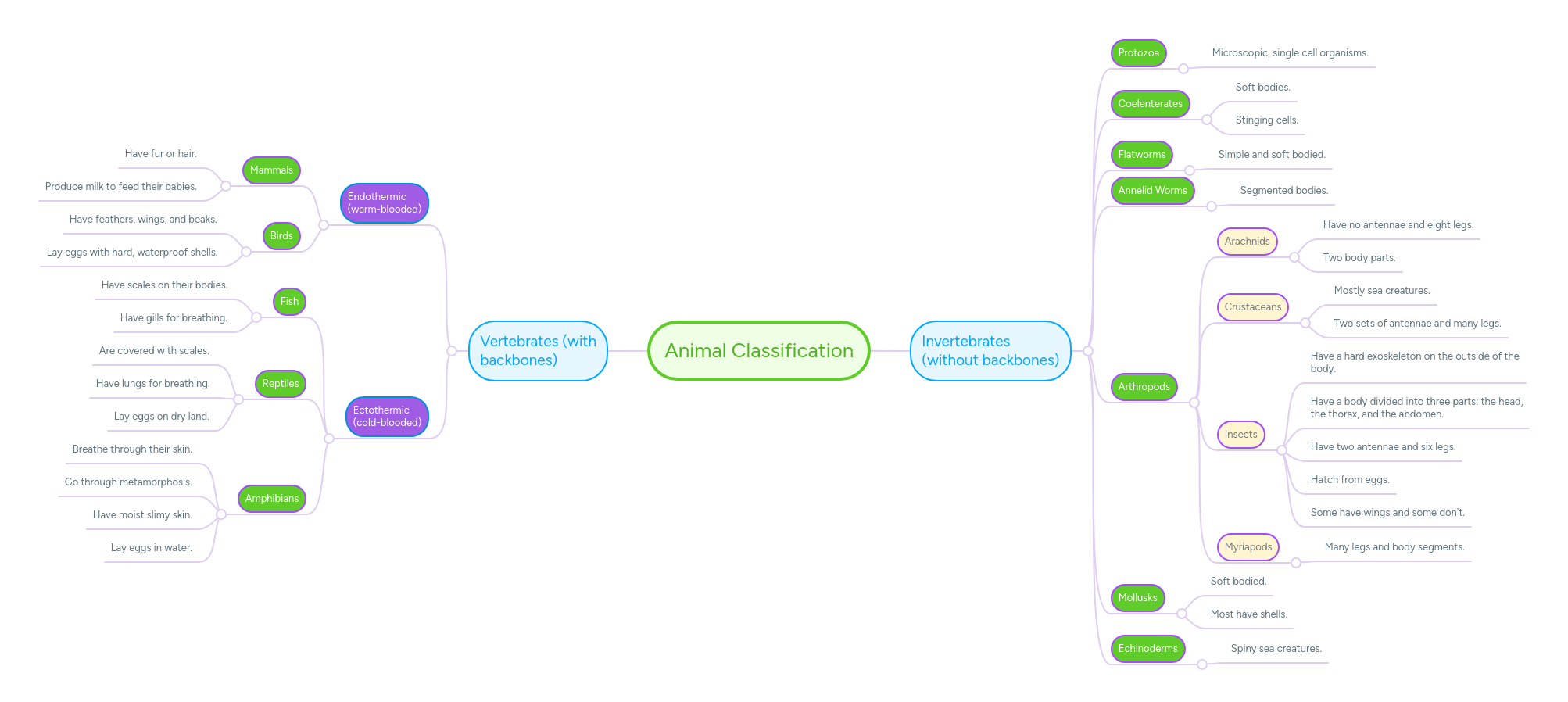 Animal Classification | MindMeister Mind Map