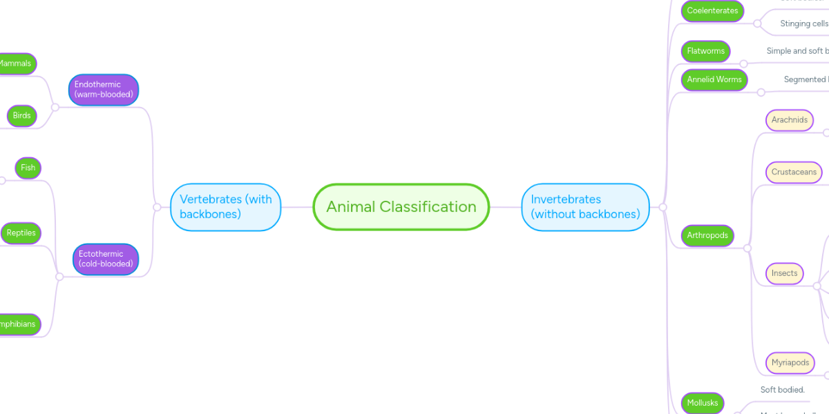 Animal Classification | MindMeister Mind Map