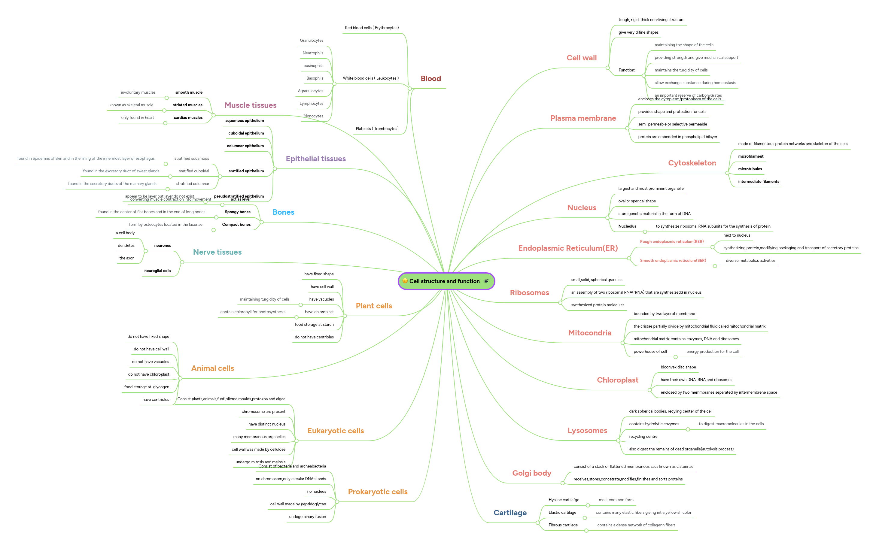 Parts Of A Cell And Their Functions Chart