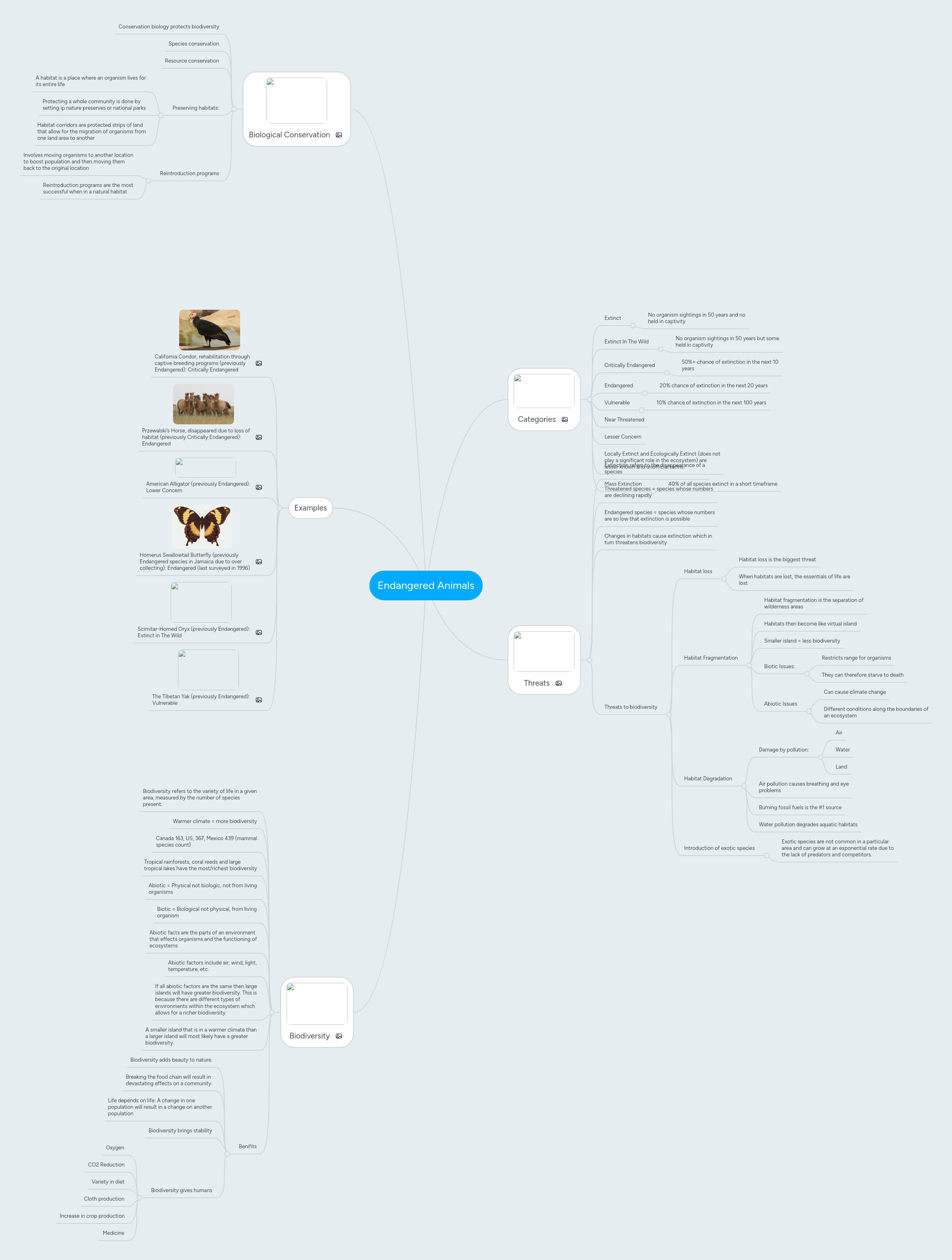 Endangered Animals | MindMeister Mind map